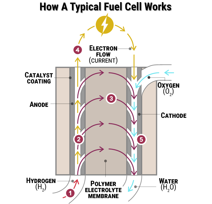 The "Tesla Killer" Is Here